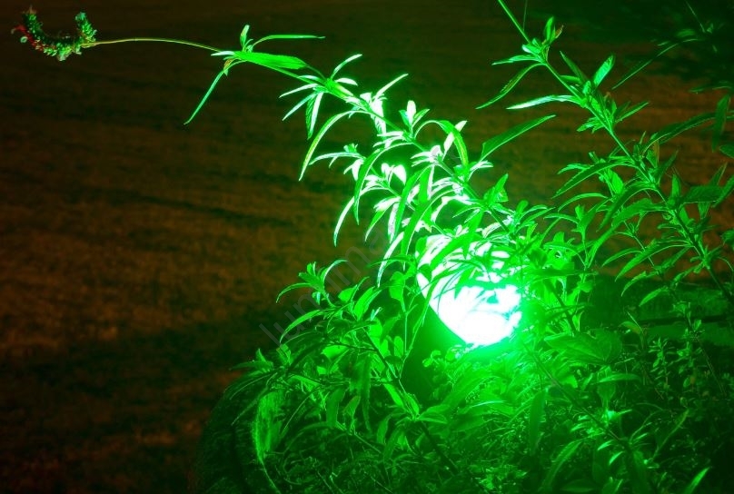 Projecteur à intensité variable LED ampoule EASY CONNECT GU10/4W/230V ...