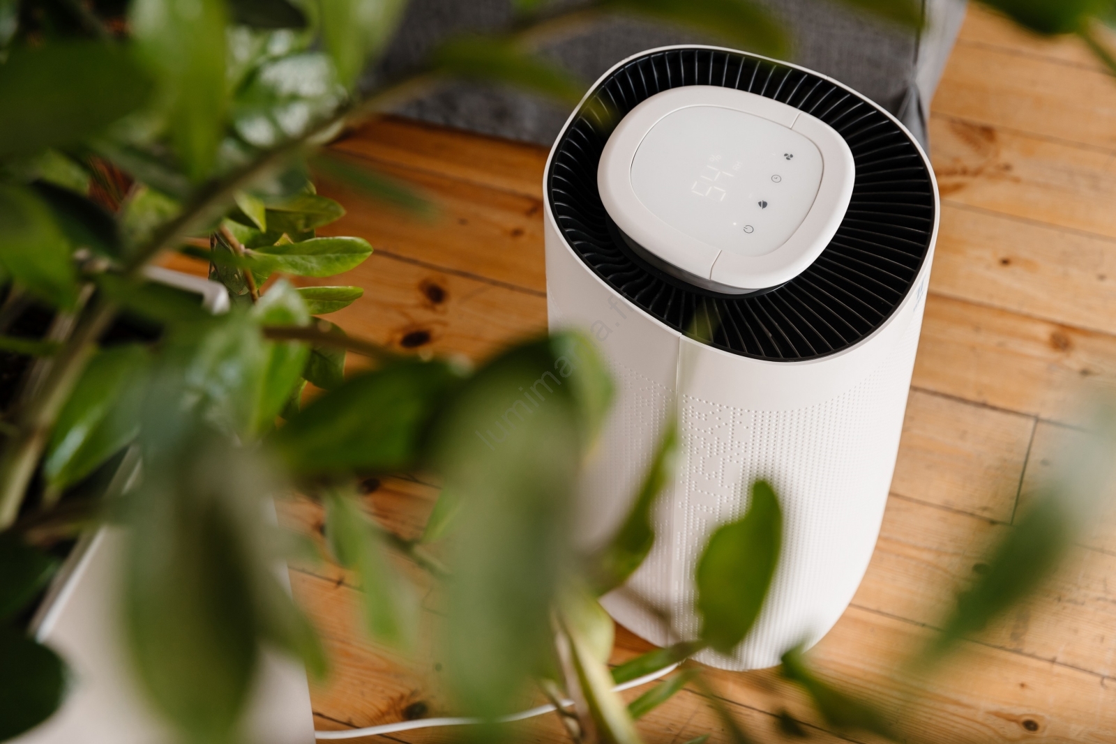 TESLA Smart - Déshumidificateur connecté 158W/230V 3200 ml Wi-Fi ...